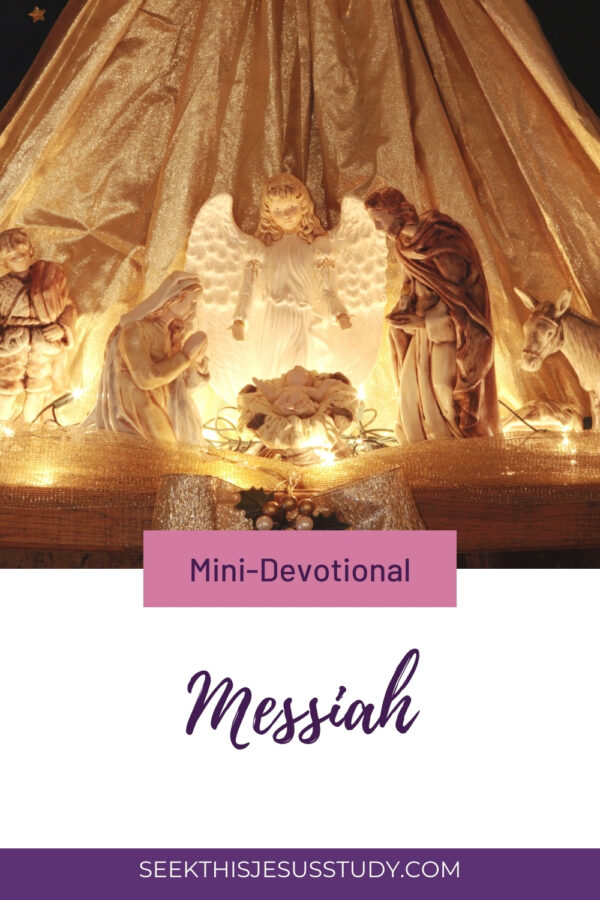 Messiah: Name of Christ Devotional to Keep Christ in Christmas - Seek ...
