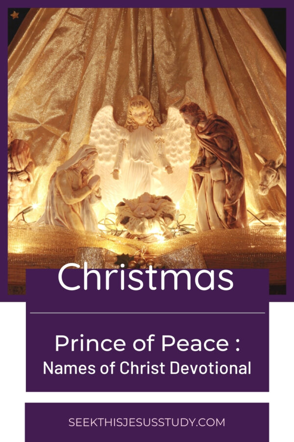 Prince of Peace: Name of Christ Devotional to Keep Christ in Christmas ...