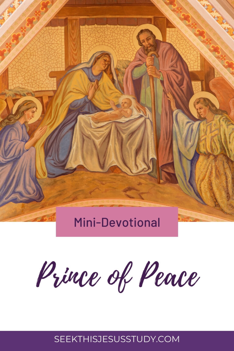 Prince of Peace: Name of Christ Devotional to Keep Christ in Christmas ...