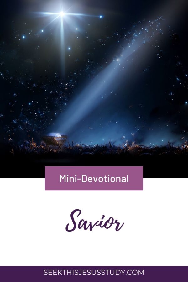 Savior: Name of Christ Devotional to Keep Christ in Christmas - Seek ...
