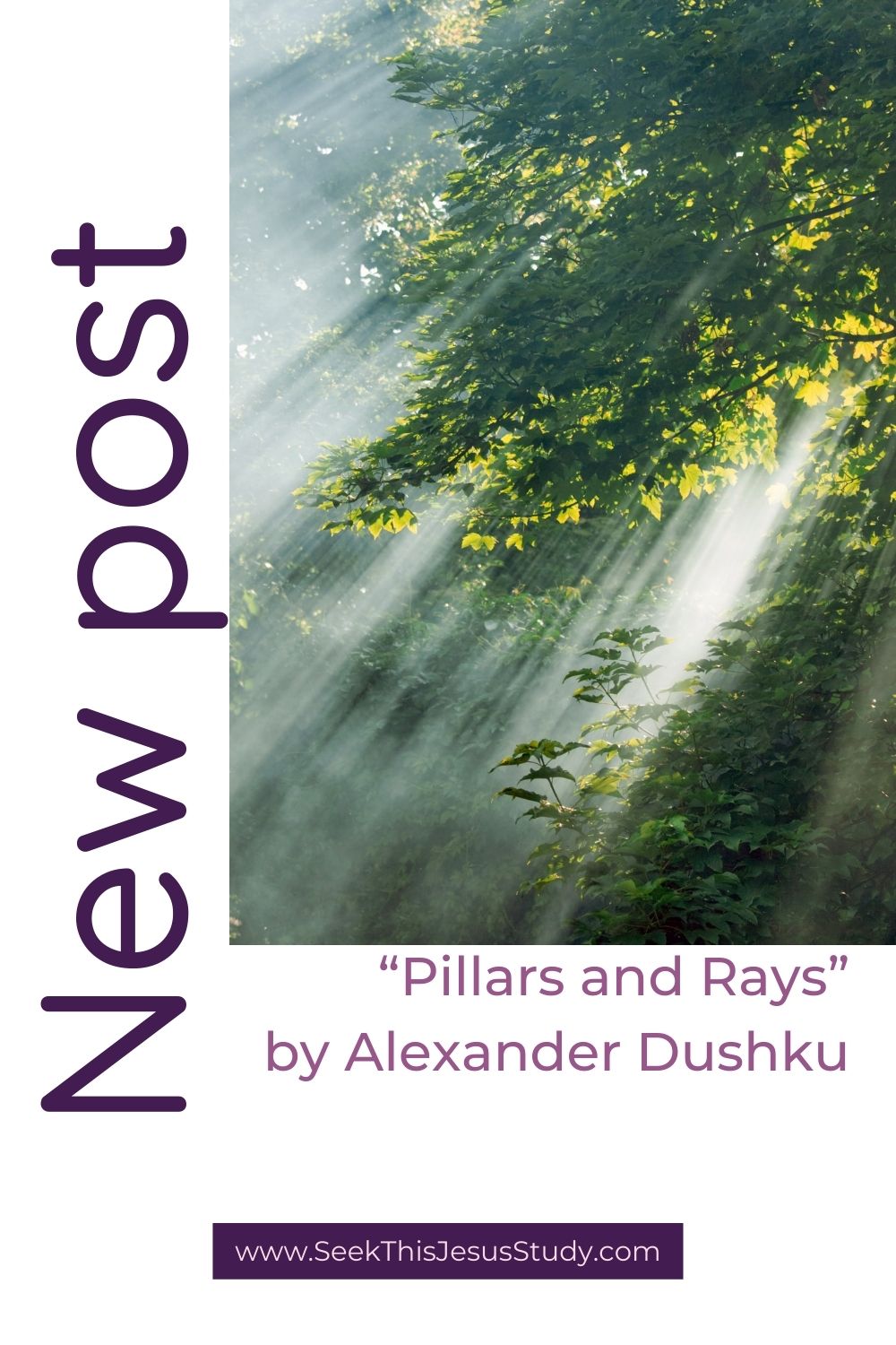 “Pillars and Rays” by Alexander Dushku - Seek This Jesus Study