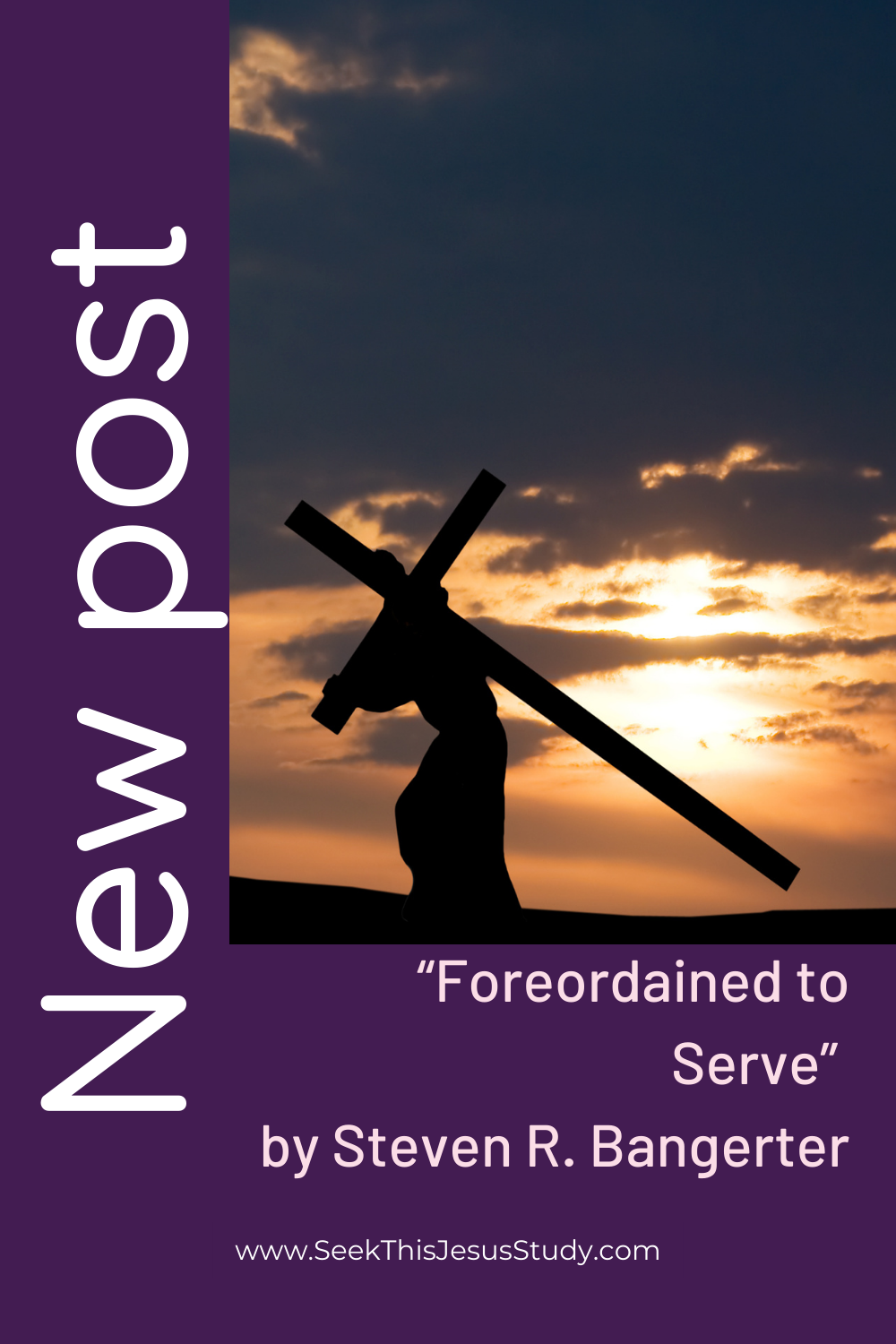 “Foreordained to Serve” by Steven R. Bangerter - Seek This Jesus Study