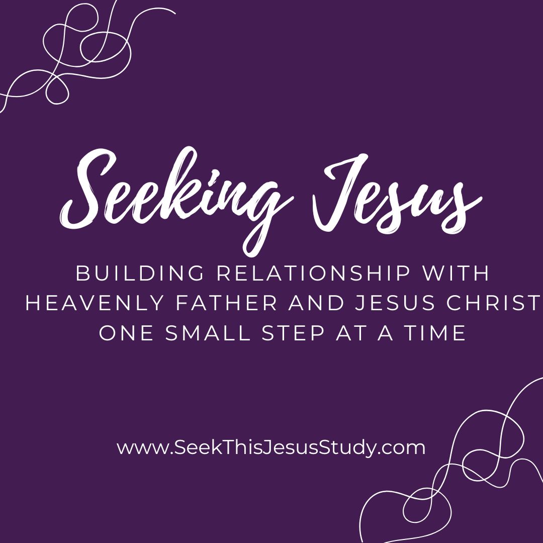 Seeking Jesus Summit Bundle - Seek This Jesus Study