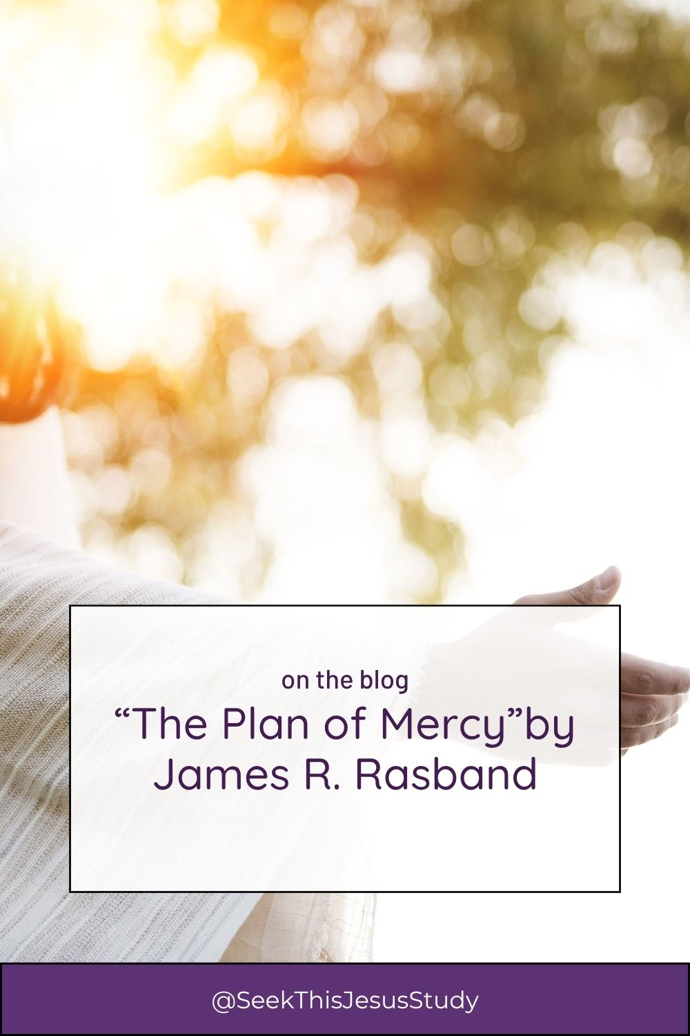 “The Plan of Mercy” by James R. Rasband - Seek This Jesus Study