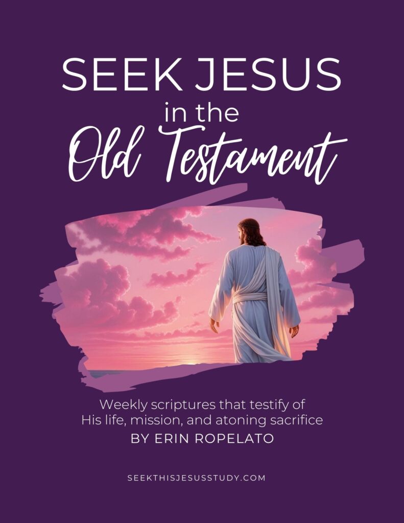 Seek Jesus in the Old Testament - Seek This Jesus Study